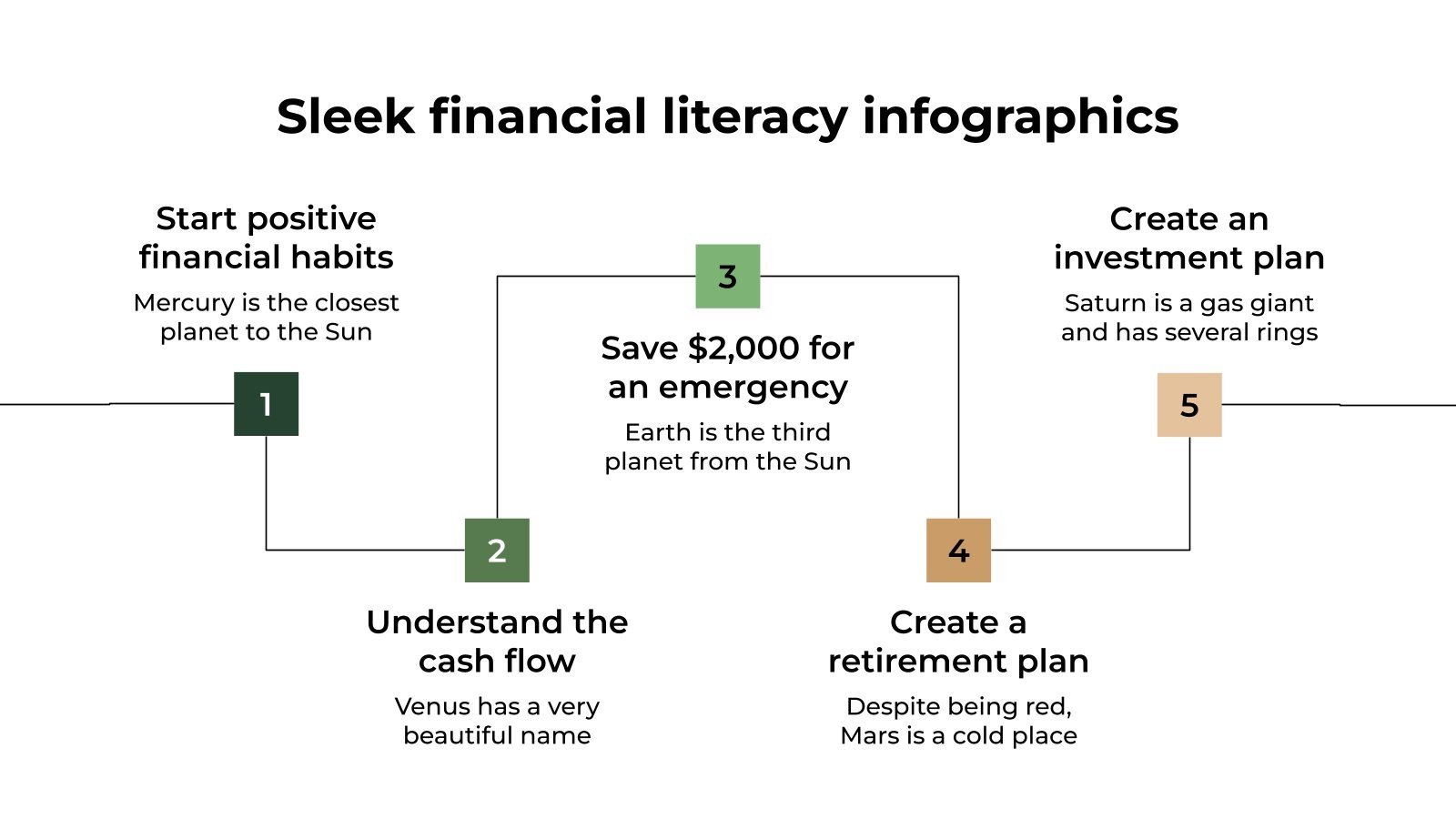 Sleek Financial Literacy Infographics | Google Slides & PPT