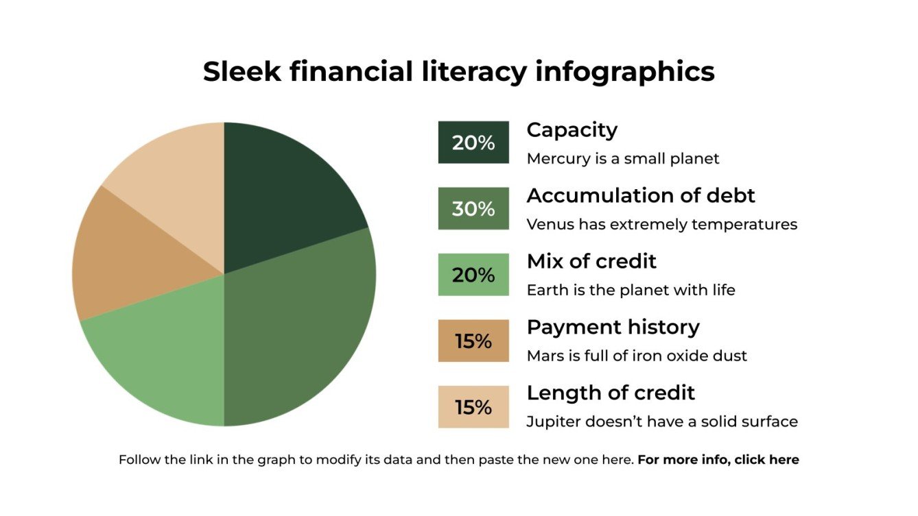 Sleek Financial Literacy Infographics | Google Slides & PPT