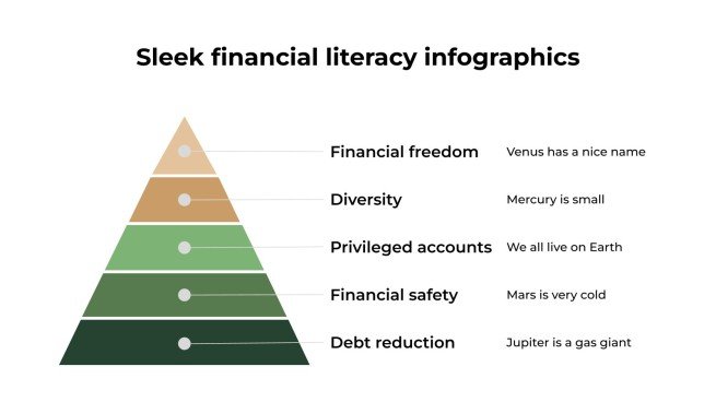 Sleek Financial Literacy Infographics | Google Slides & PPT