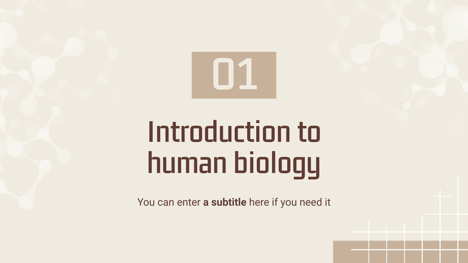 Genetics - Bachelor of Science in Human Biology