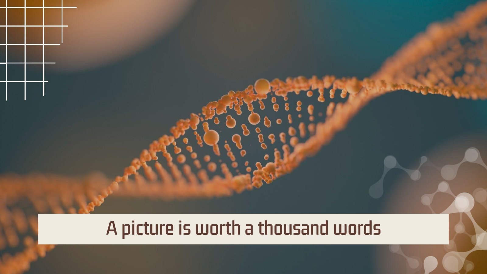 Genetics - Bachelor of Science in Human Biology