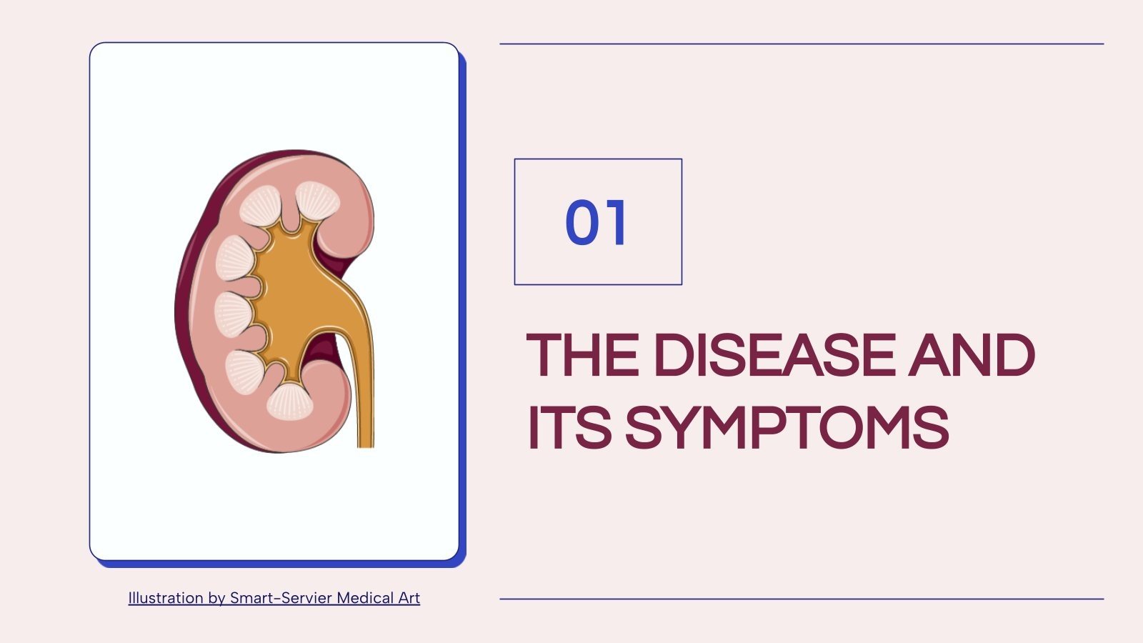 Chronic Kidney Disease (CKD) | Google Slides & PowerPoint