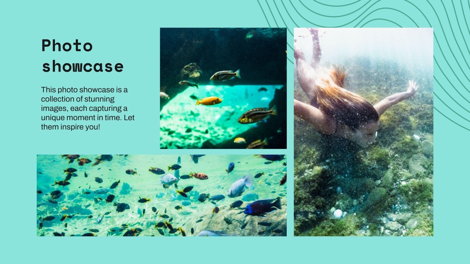 Aquatic Awe Portfolio | Google Slides & PowerPoint