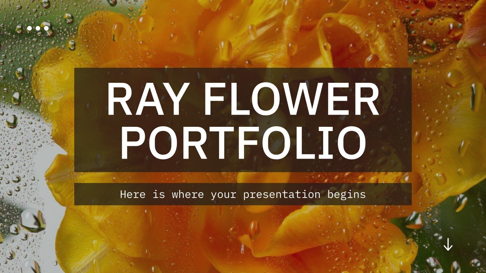 Ray Flower-Portfolio | Google Slides & PowerPoint