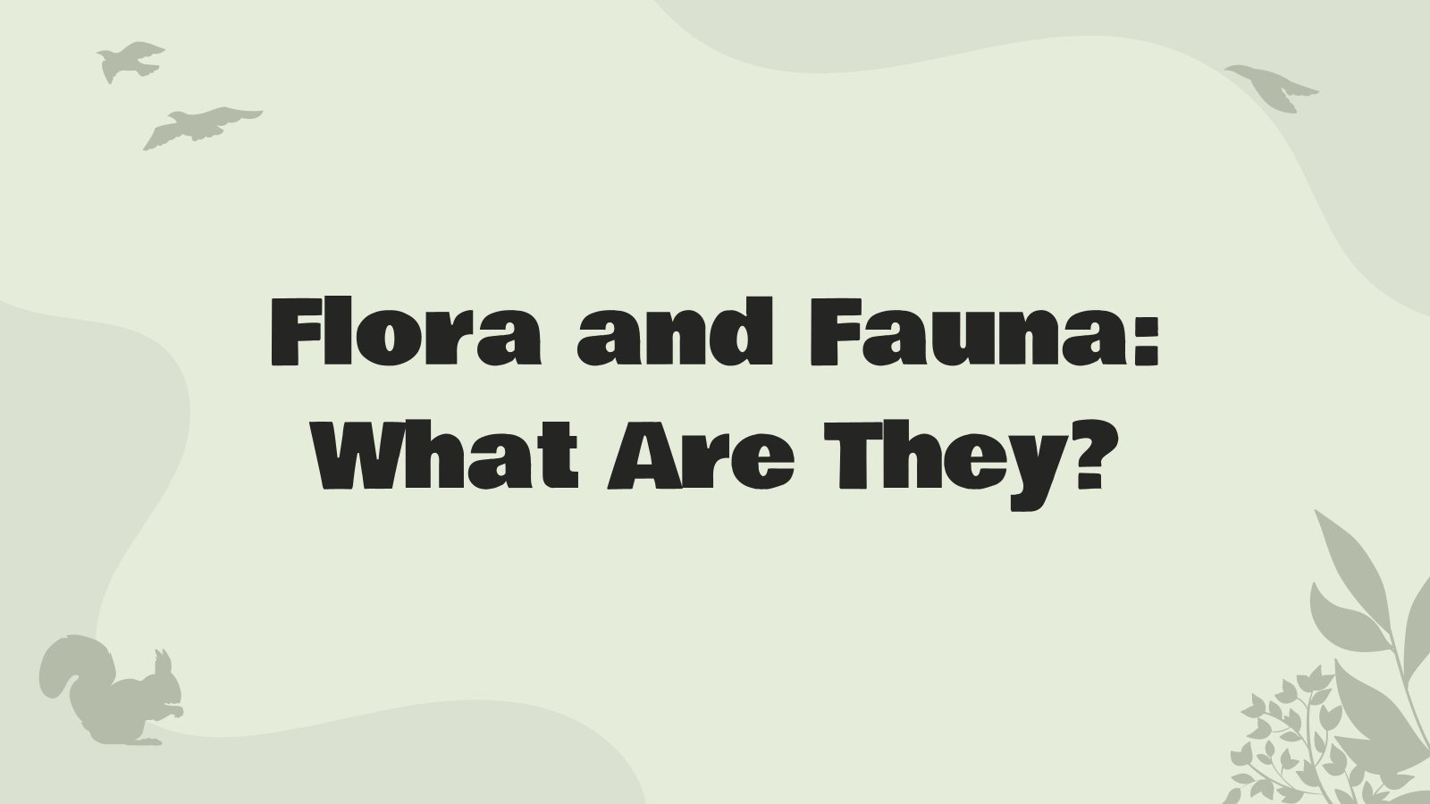 Flora and Fauna: What Are They? | Google Slides & PPT