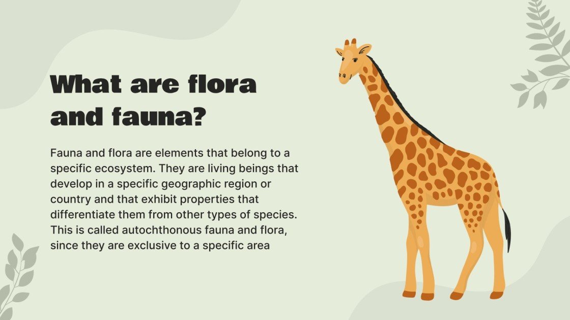 Flora and Fauna: What Are They? | Google Slides & PPT