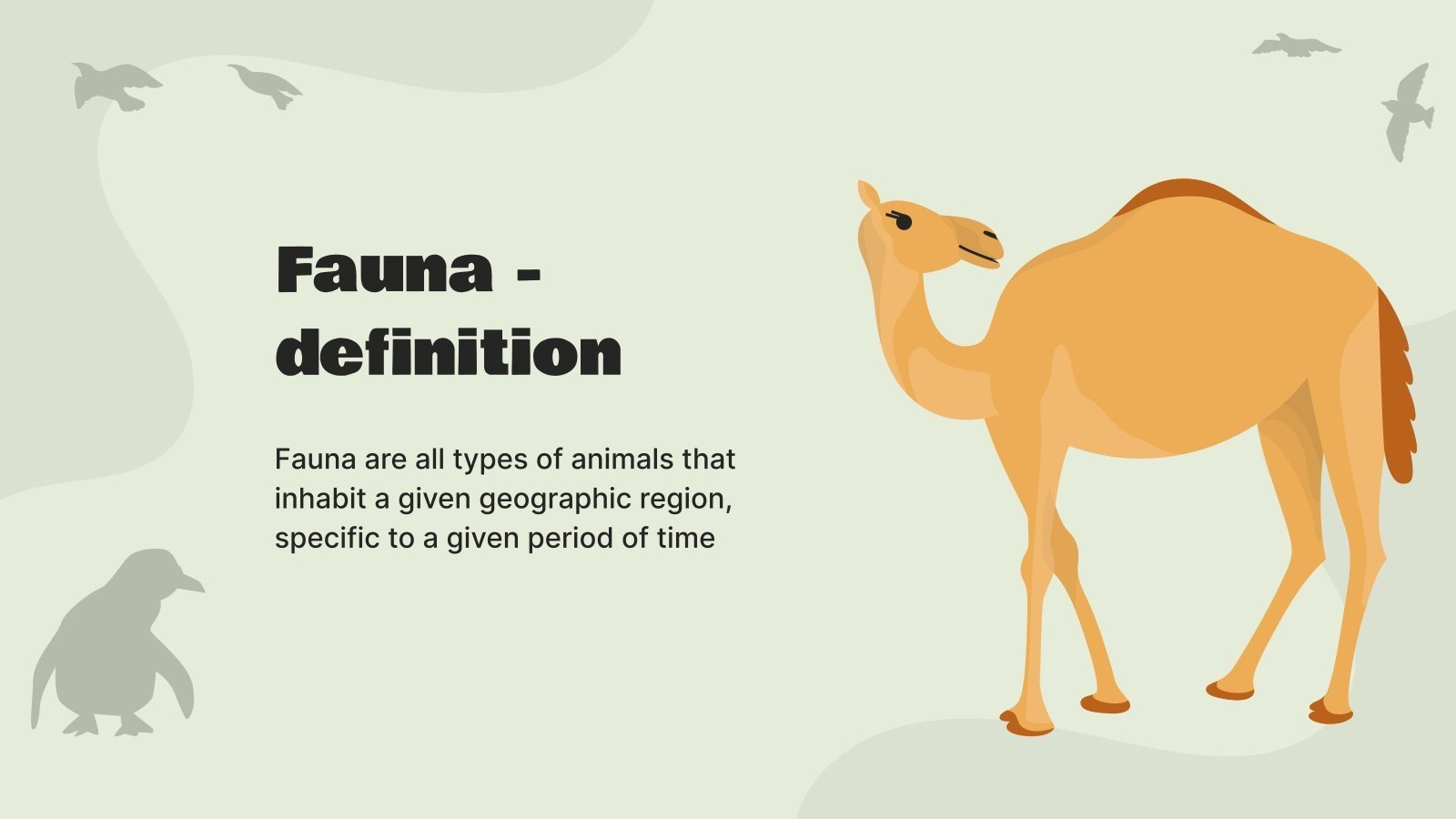 Flora and Fauna: What Are They? | Google Slides & PPT