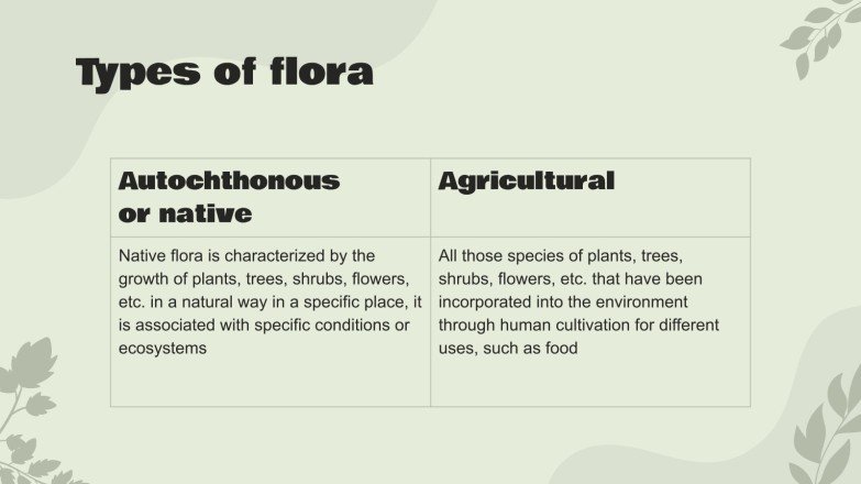 Flora and Fauna: What Are They? | Google Slides & PPT
