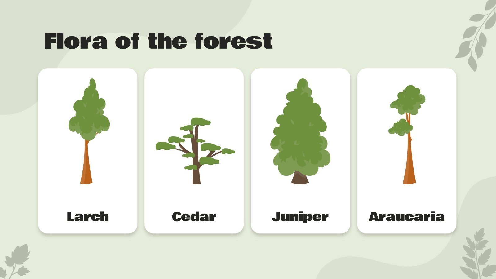 Flora and Fauna: What Are They? | Google Slides & PPT