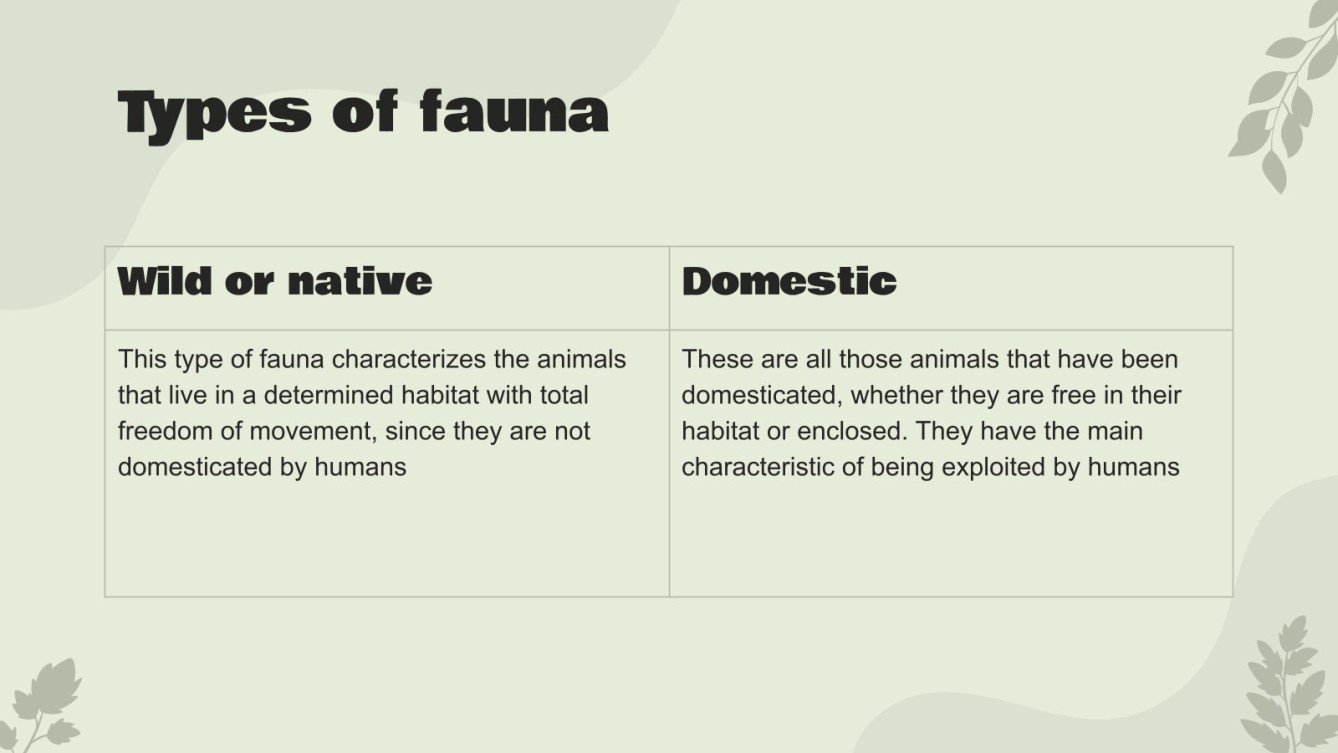 Flora and Fauna: What Are They? | Google Slides & PPT