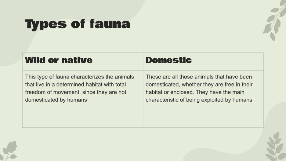 Flora and Fauna: What Are They? | Google Slides & PPT