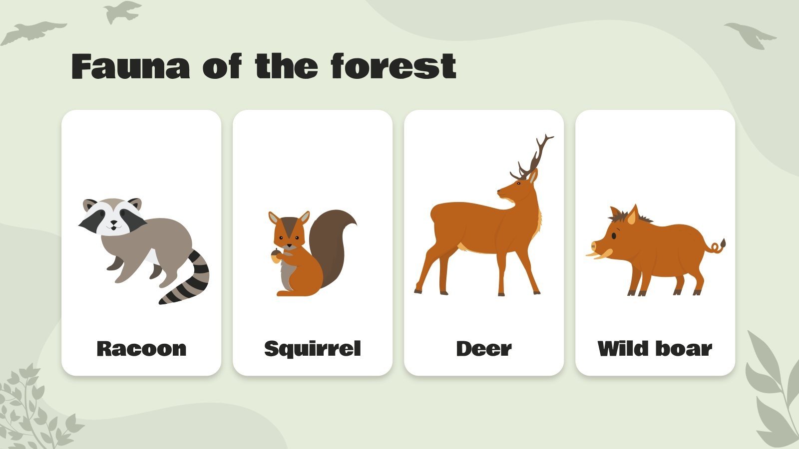 Flora and Fauna: What Are They? | Google Slides & PPT