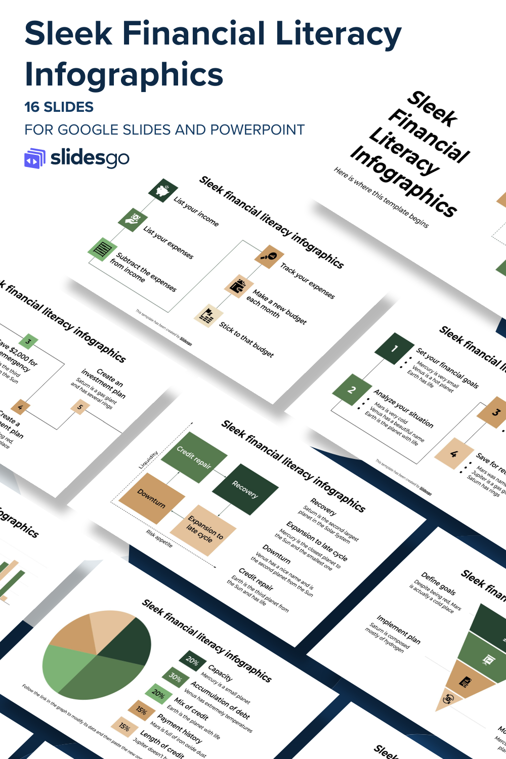 Sleek Financial Literacy Infographics | Google Slides & PPT