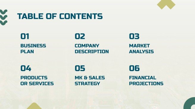 Social Networking Services (SNS) Platform Business Plan