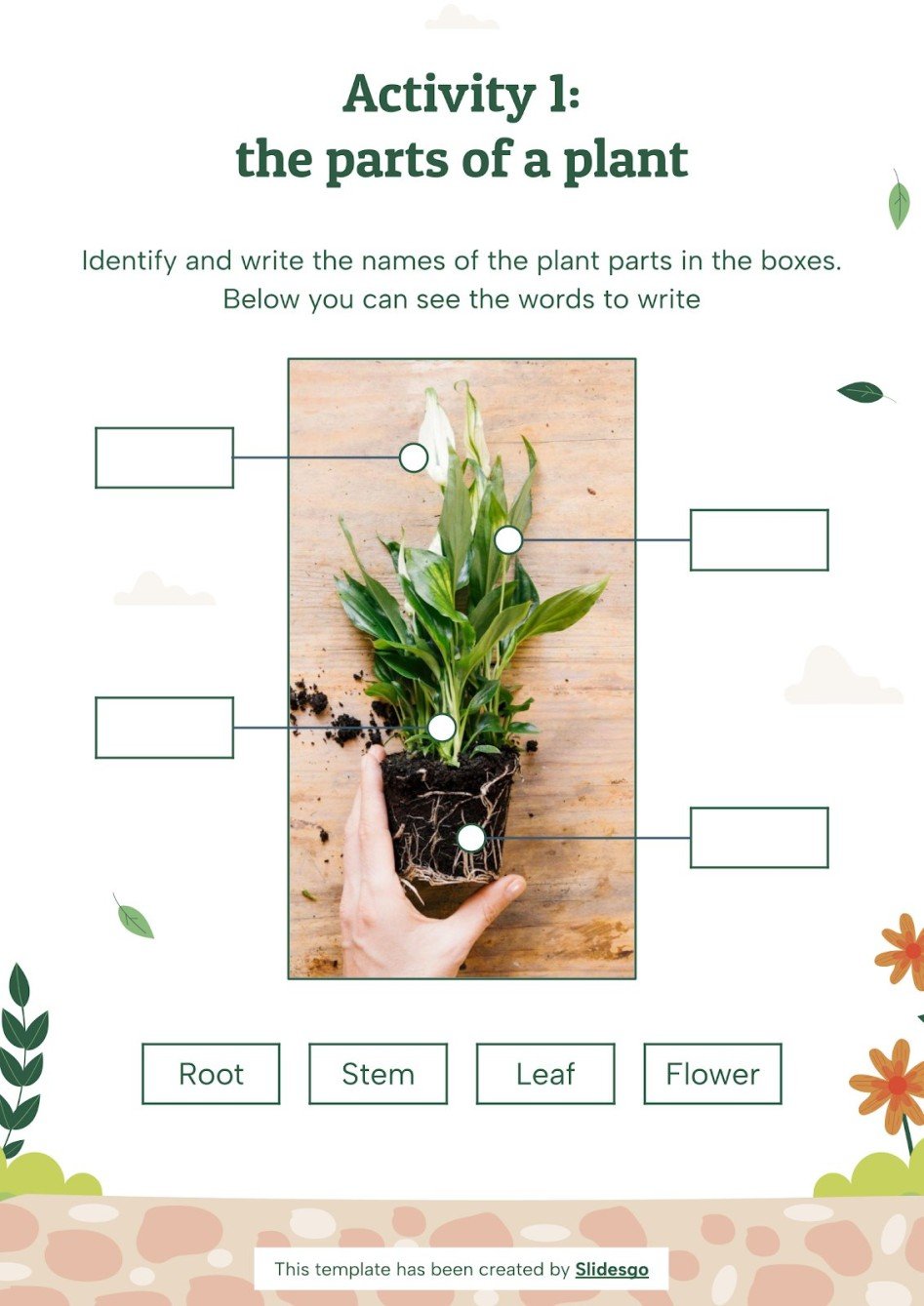 Activity Sheet: Plants | Google Slides & PowerPoint