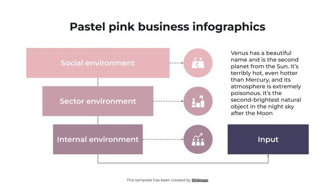 Pastel Pink Business Infographics | Google Slides & PPT