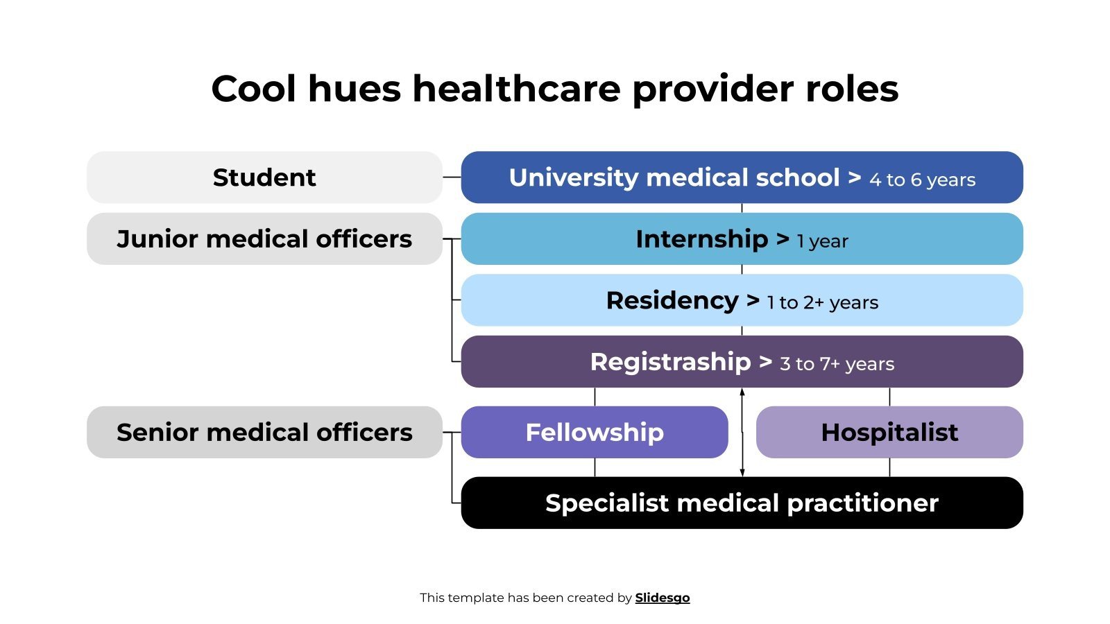 Cool Hues Healthcare Provider Roles Infographics