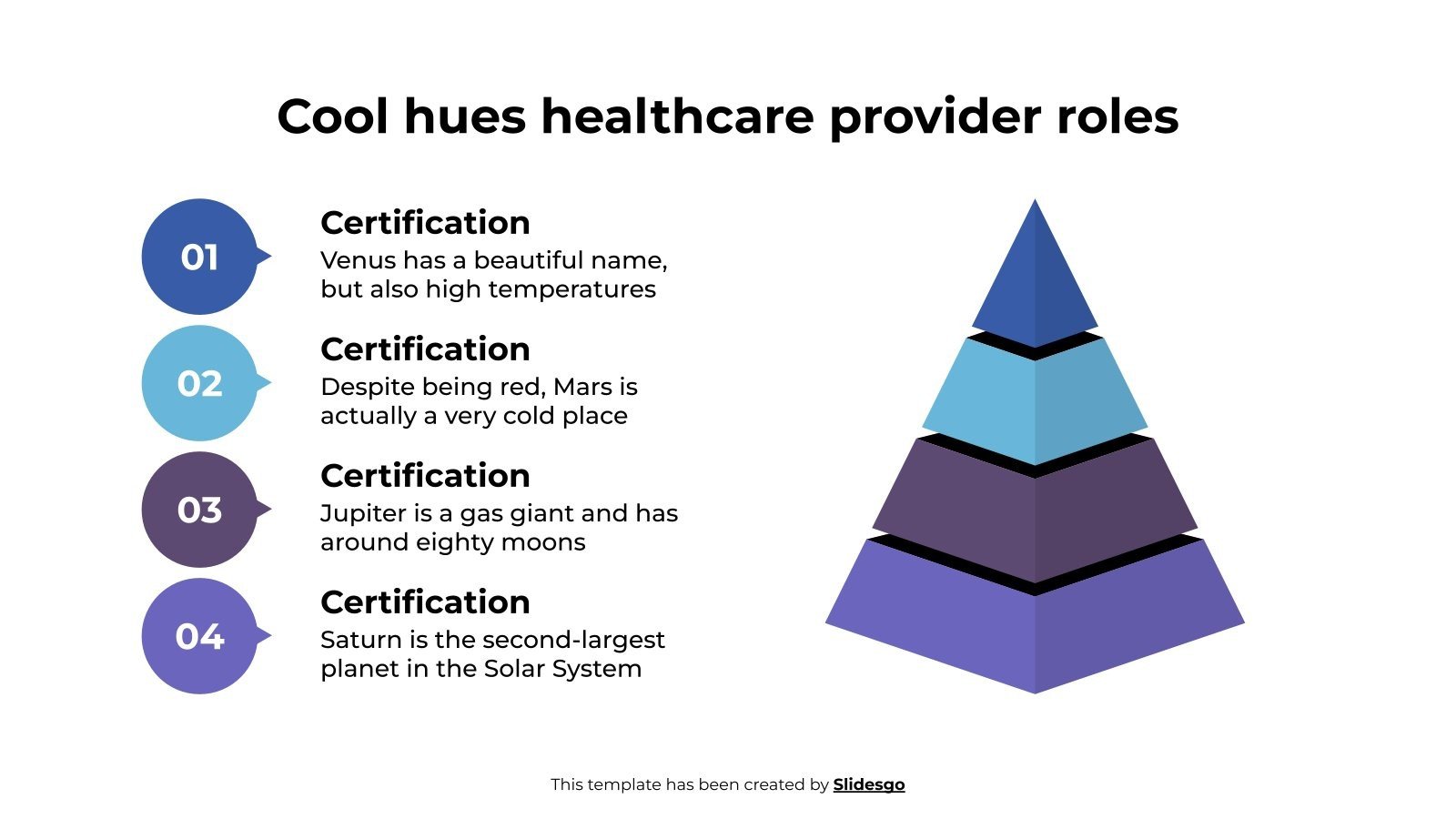 Cool Hues Healthcare Provider Roles Infographics