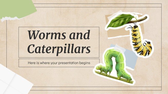 Worms and Caterpillars | Google Slides & PowerPoint