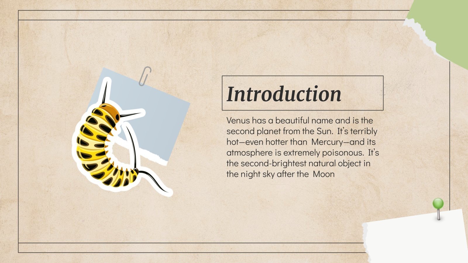 Worms and Caterpillars | Google Slides & PowerPoint