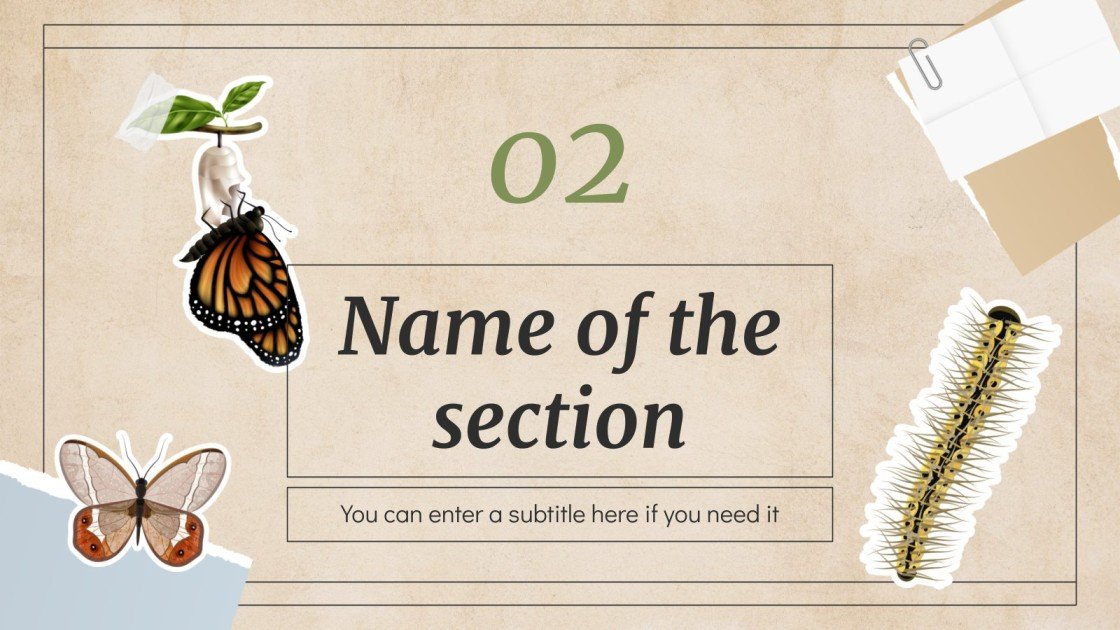 Worms and Caterpillars | Google Slides & PowerPoint