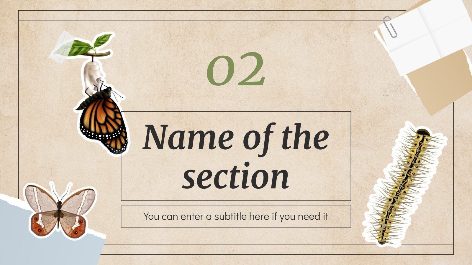 Worms and Caterpillars | Google Slides & PowerPoint