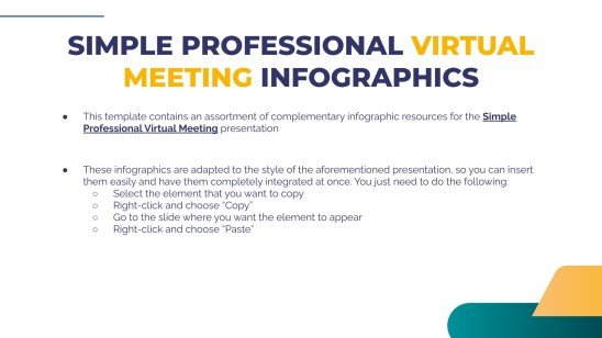 Simple Professional Virtual Meeting Infographics
