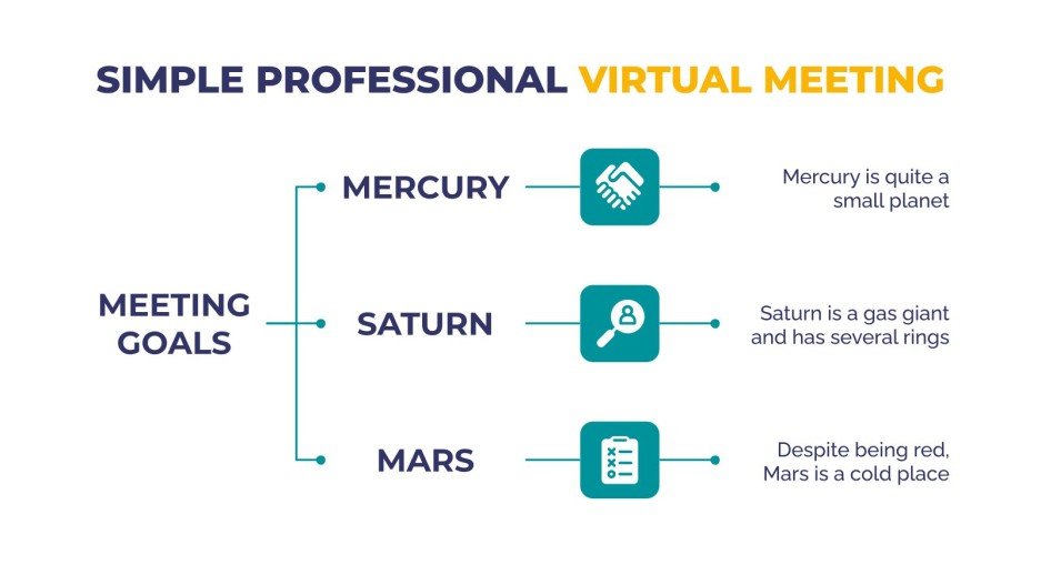 Simple Professional Virtual Meeting Infographics