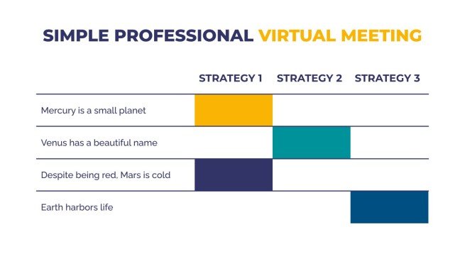 Simple Professional Virtual Meeting Infographics