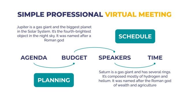 Simple Professional Virtual Meeting Infographics