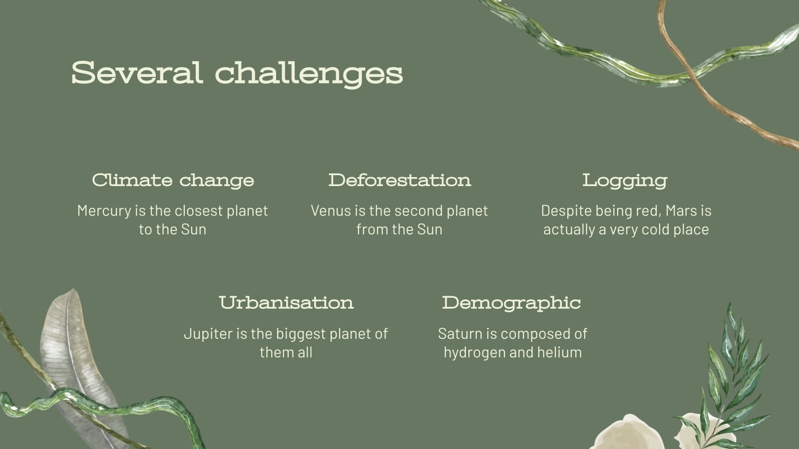 World Day of the Tropics | Google Slides & PowerPoint