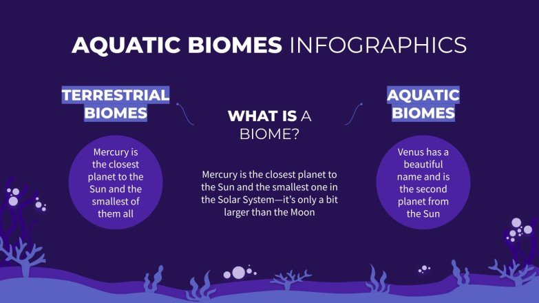 Aquatic Biomes Activities for Elementary Infographics