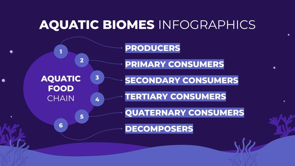 Aquatic Biomes Activities for Elementary Infographics
