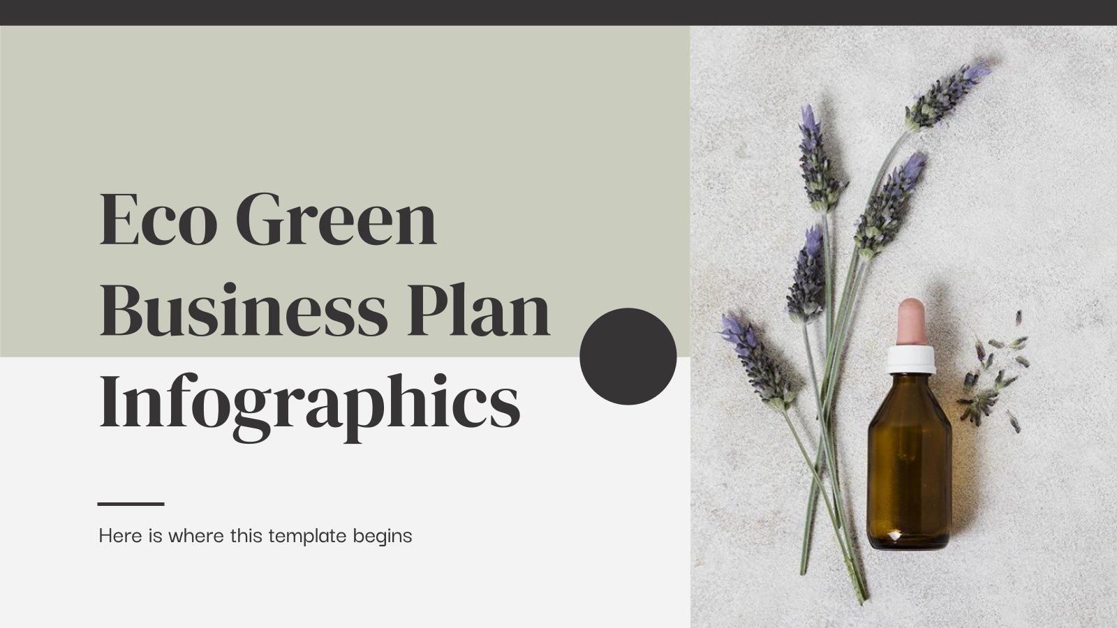 Eco Green Business Plan Infographics | Google Slides