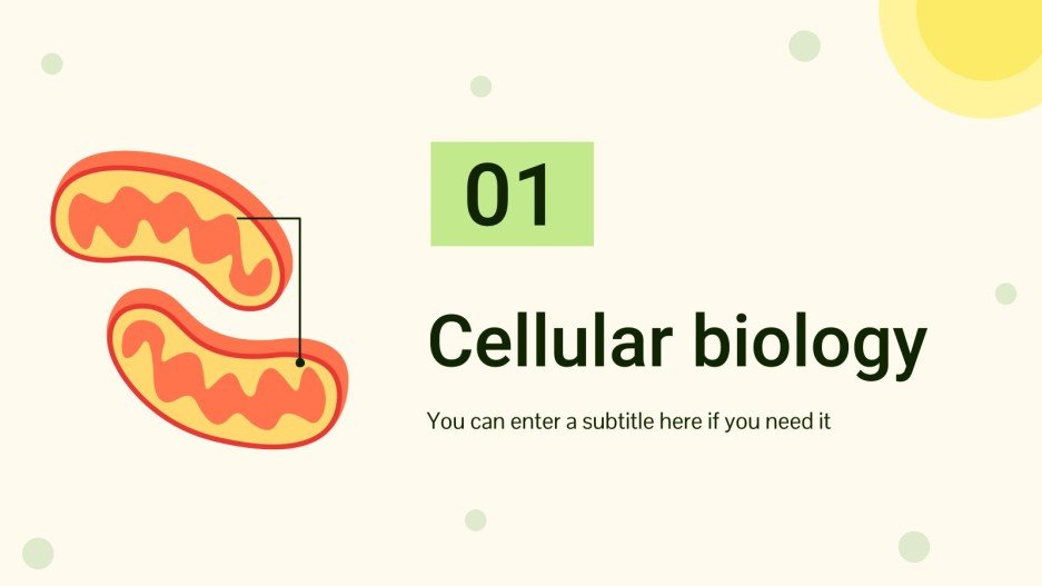 Cell Processes and Energy - Science | Google Slides & PPT
