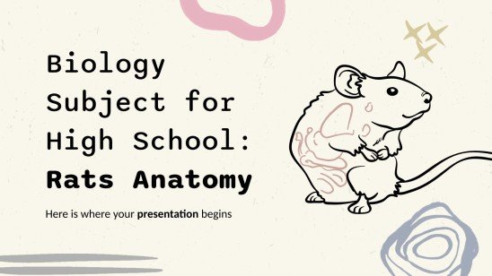 Biologie pour le lycée : Anatomie du rat | Google Slides