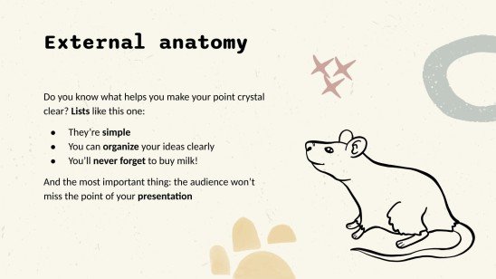 Biología para Bachillerato: anatomía de la rata