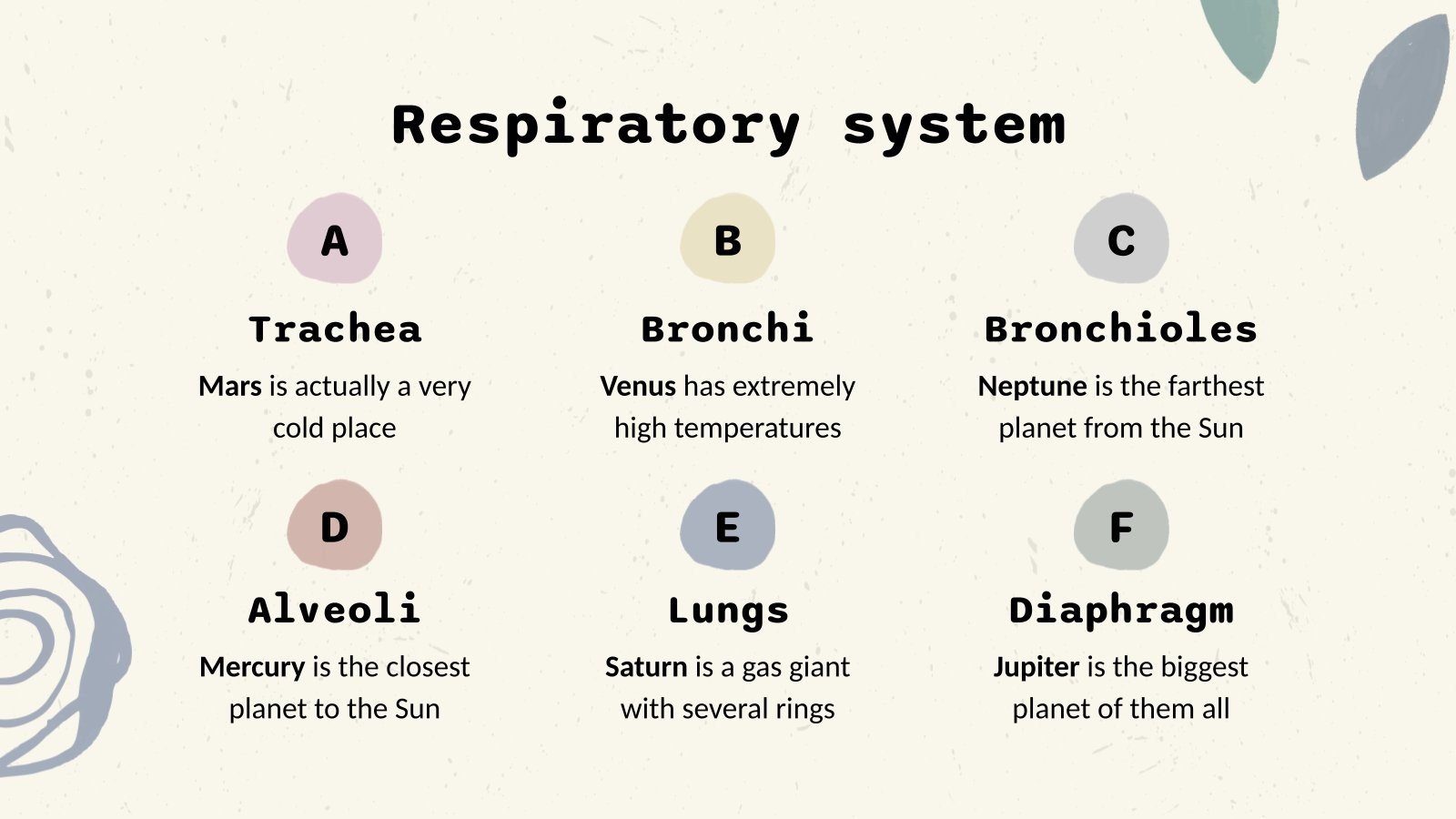 Biología para Bachillerato: anatomía de la rata