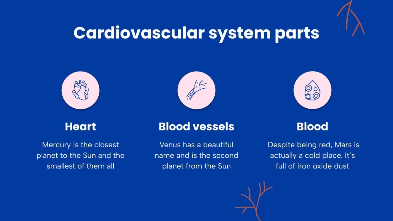 Science Subject for Elementary School: Cardiovascular System