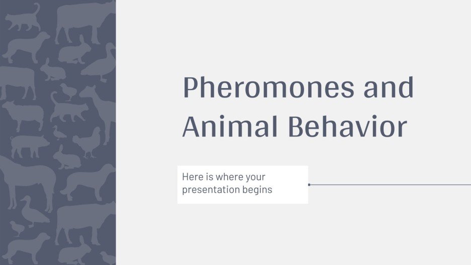Pheromones and Animal Behavior | Google Slides & PPT