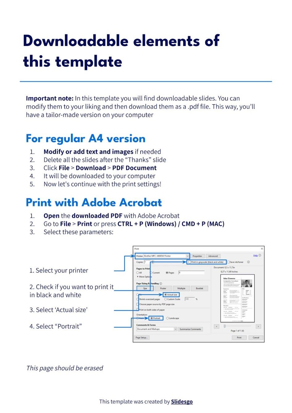 Immigration Consultant CV | Google Slides & PowerPoint