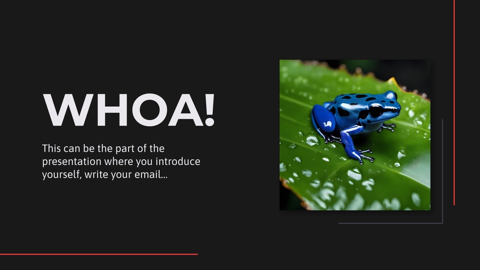 Most Poisonous Animals | Google Slides & PowerPoint