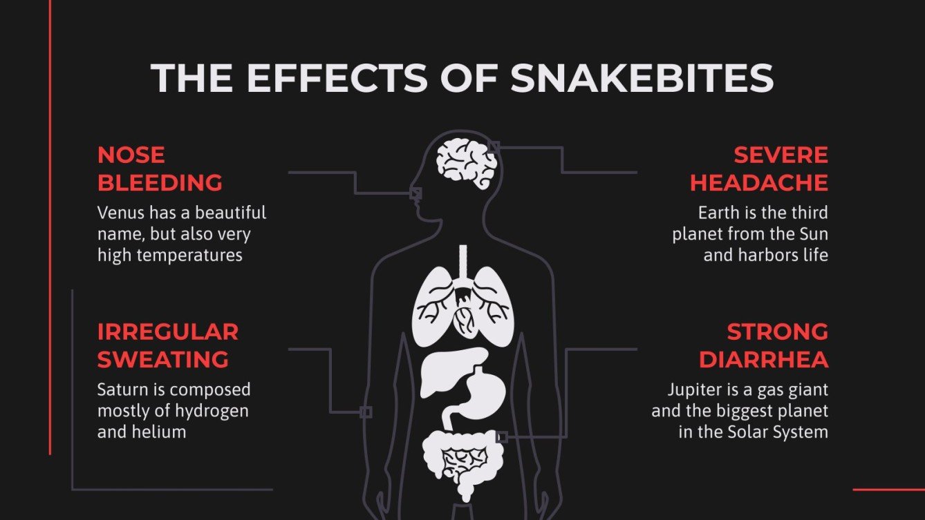 Most Poisonous Animals | Google Slides & PowerPoint