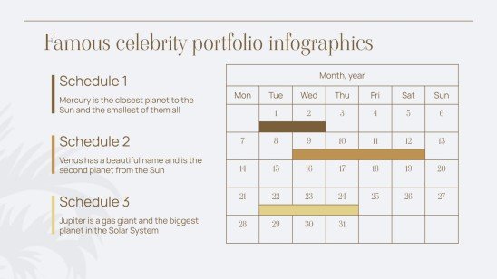 Famous Celebrity Portfolio Infographics | Google Slides