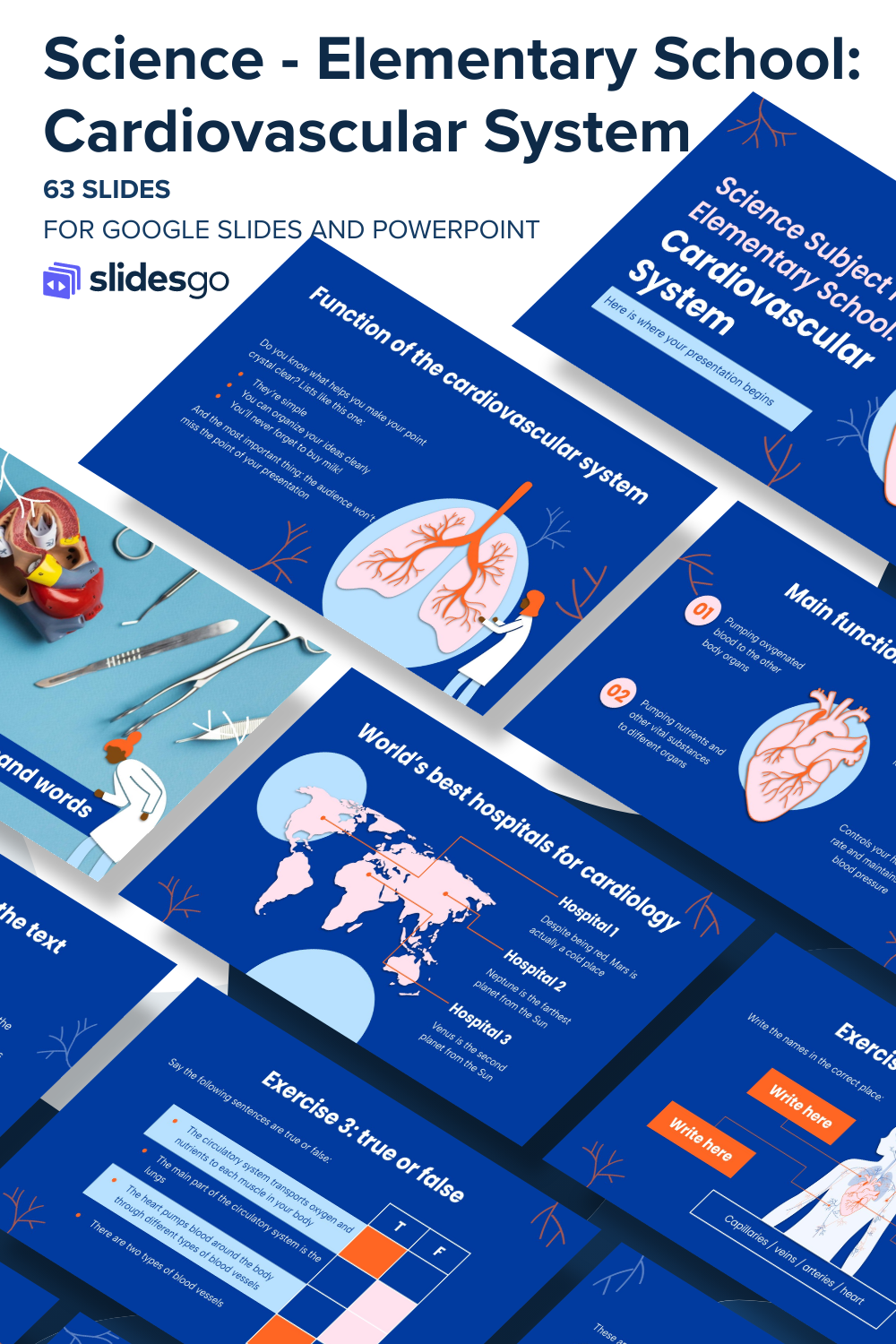 Science Subject for Elementary School: Cardiovascular System