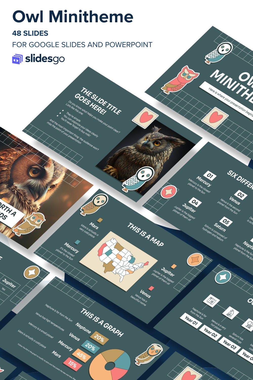 Owl Minitheme | Google Slides & PowerPoint template