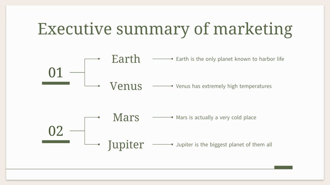Executive Summary of Marketing Plan Infographics