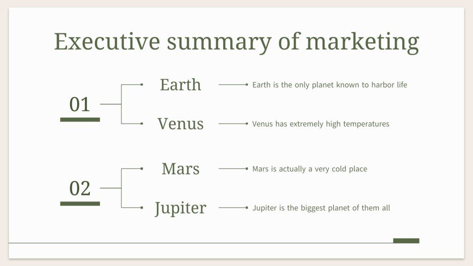 Executive Summary of Marketing Plan Infographics