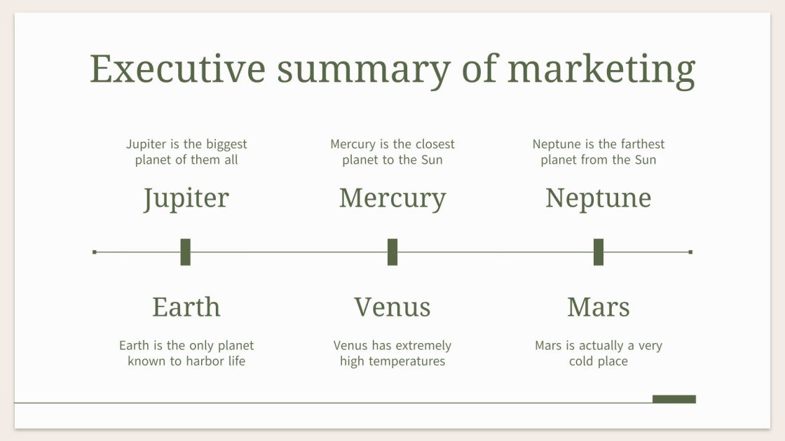 Executive Summary of Marketing Plan Infographics