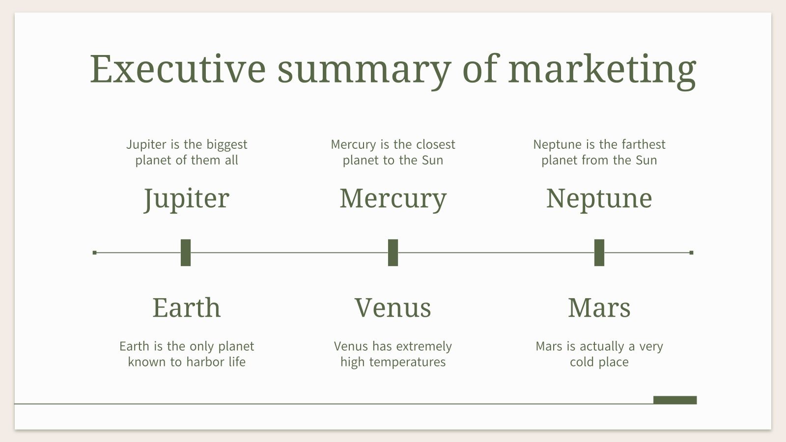 Executive Summary of Marketing Plan Infographics